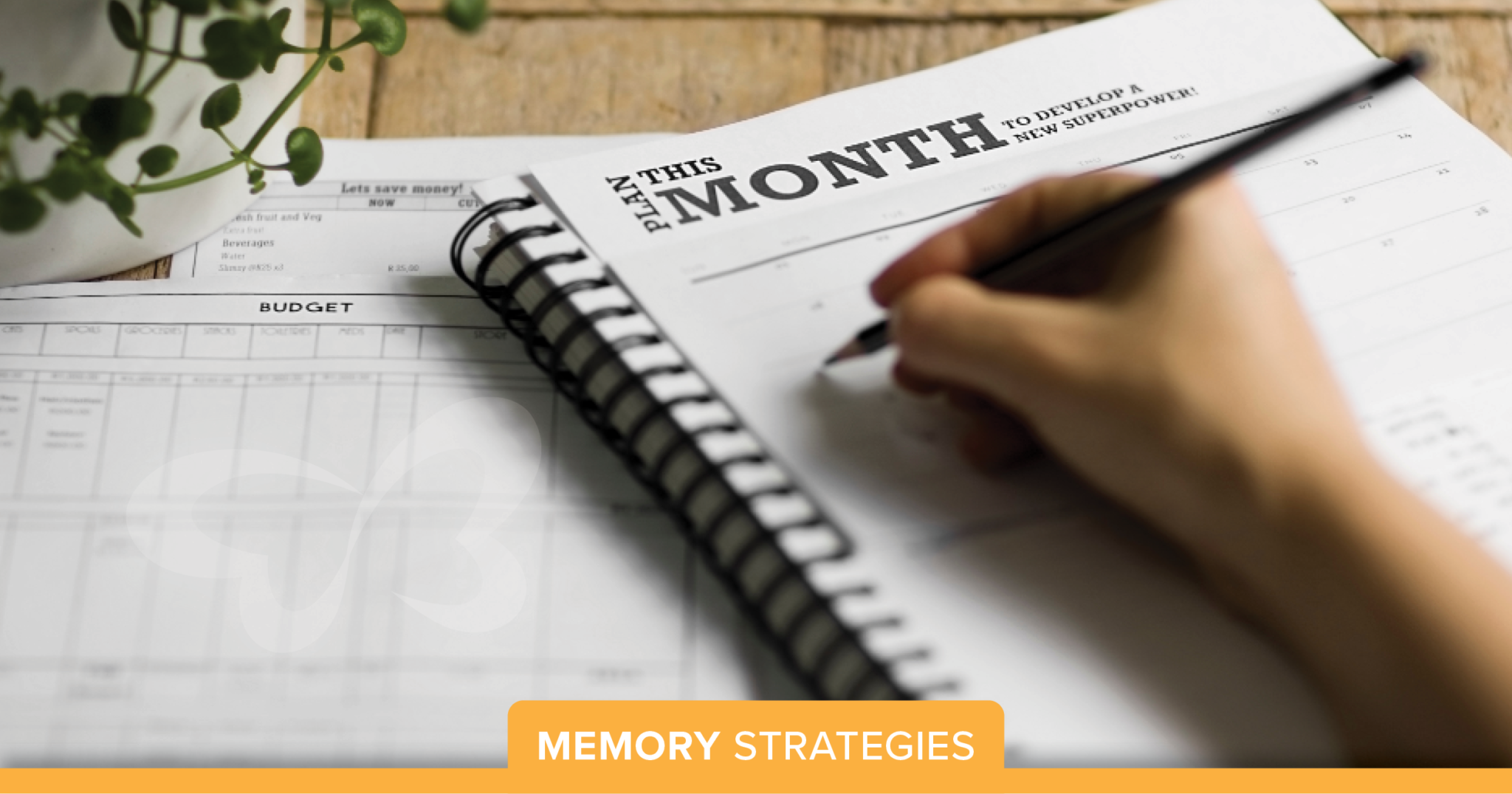 Memory Strategies - ClearSky Rehabilitation Hospital of Lecanto